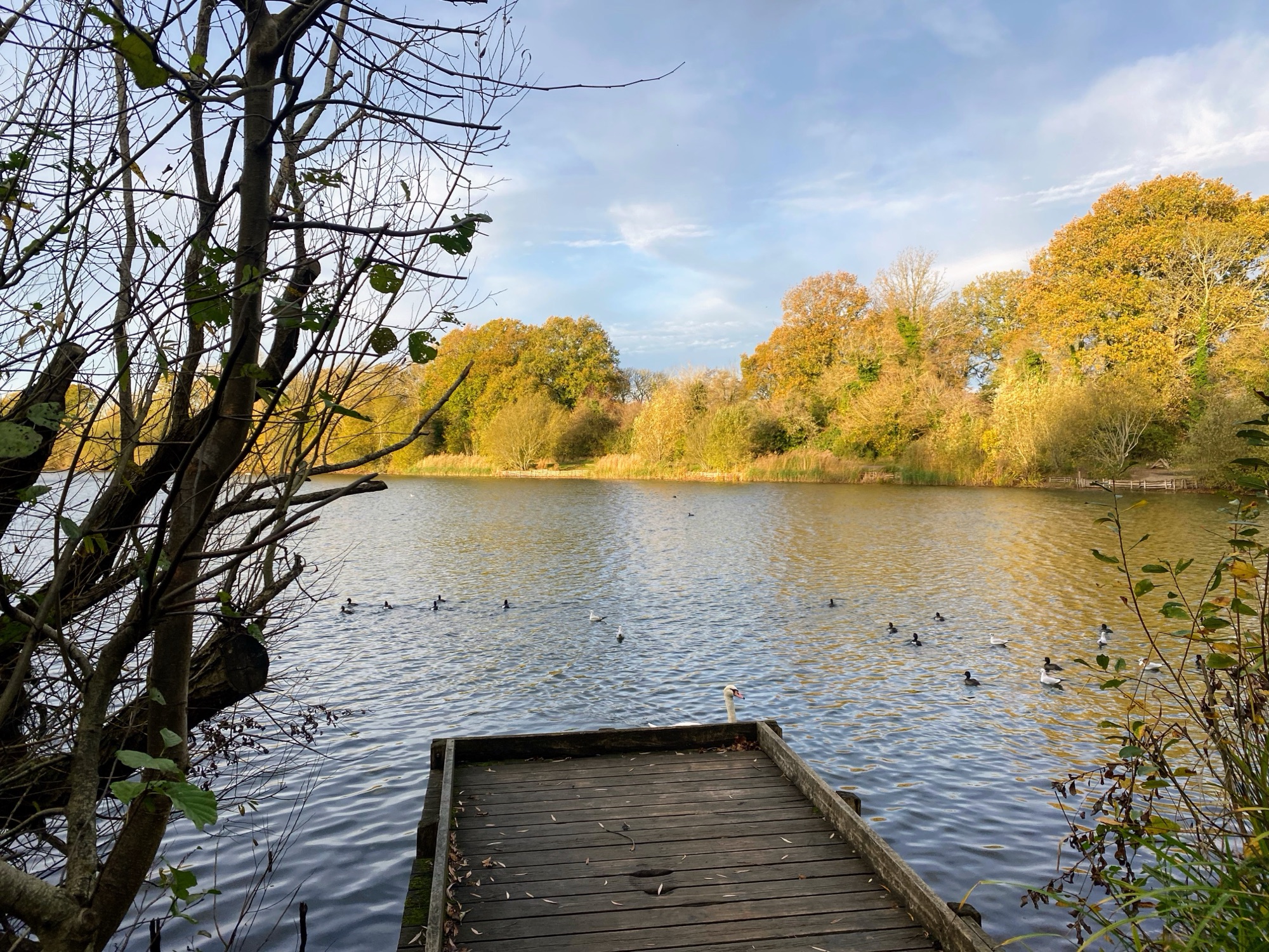 Verdigris: Where Tonbridge Customers Find Their Special Riverside ...